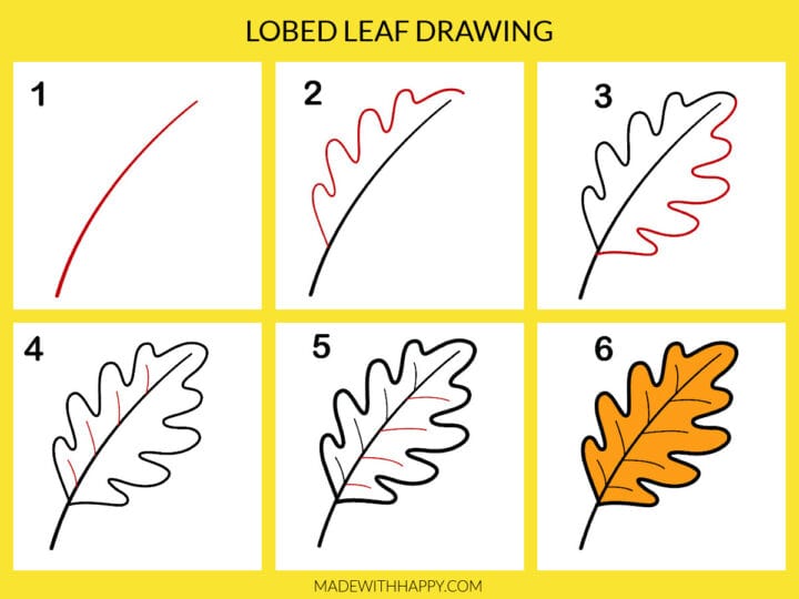 7 Easy How To Draw a Leaf Step By Step Tutorials - Made with HAPPY