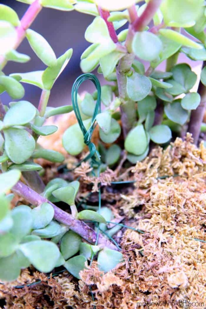 DIY String Garden - Made with HAPPY