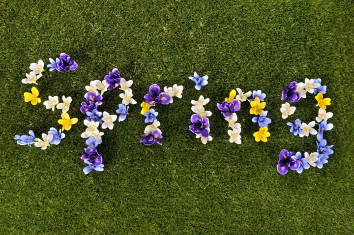 Facts About Spring - Made with HAPPY