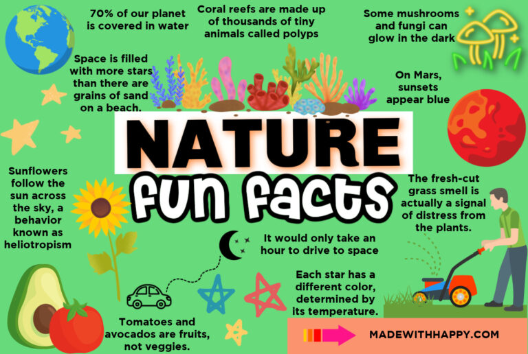 365+ Fun Facts For Kids - Made with HAPPY