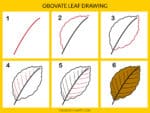 7 Easy How To Draw a Leaf Step By Step Tutorials - Made with HAPPY