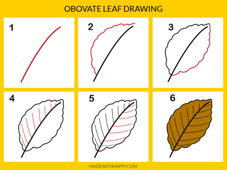7 Easy How To Draw a Leaf Step By Step Tutorials - Made with HAPPY