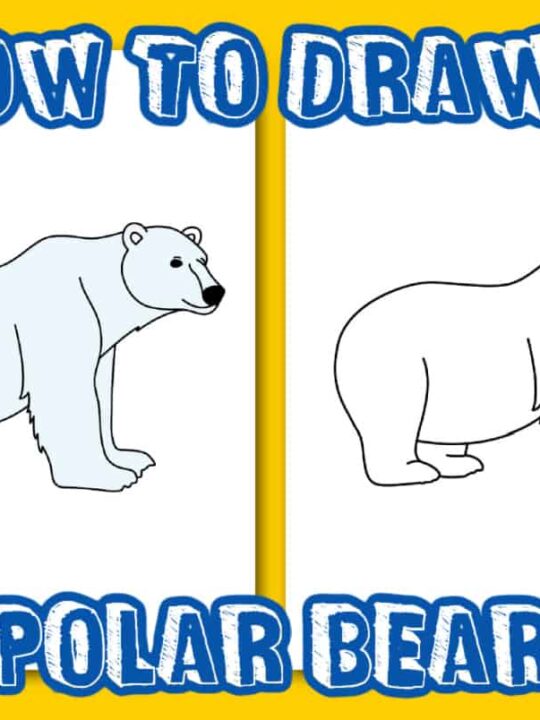 Bear Drawing For Kids