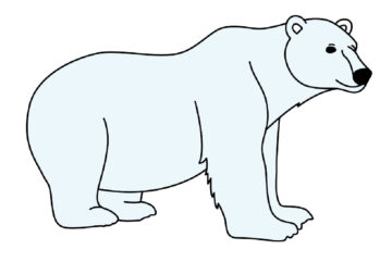 How To Draw a Polar Bear - Made with HAPPY