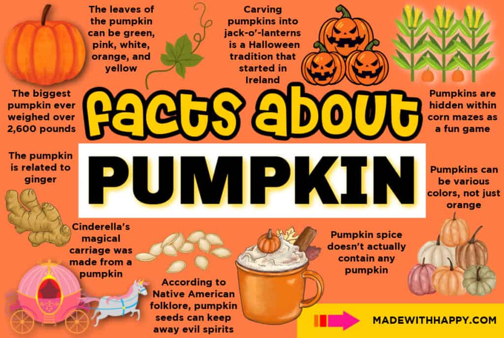 Pumpkin Facts For Kids With Printable Pumpkin Activities