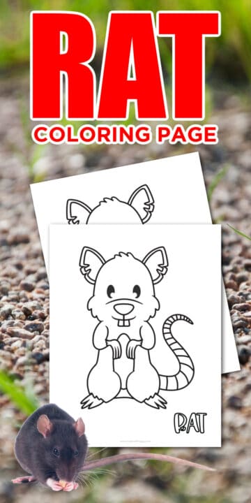 Rat Coloring Page - Made with HAPPY