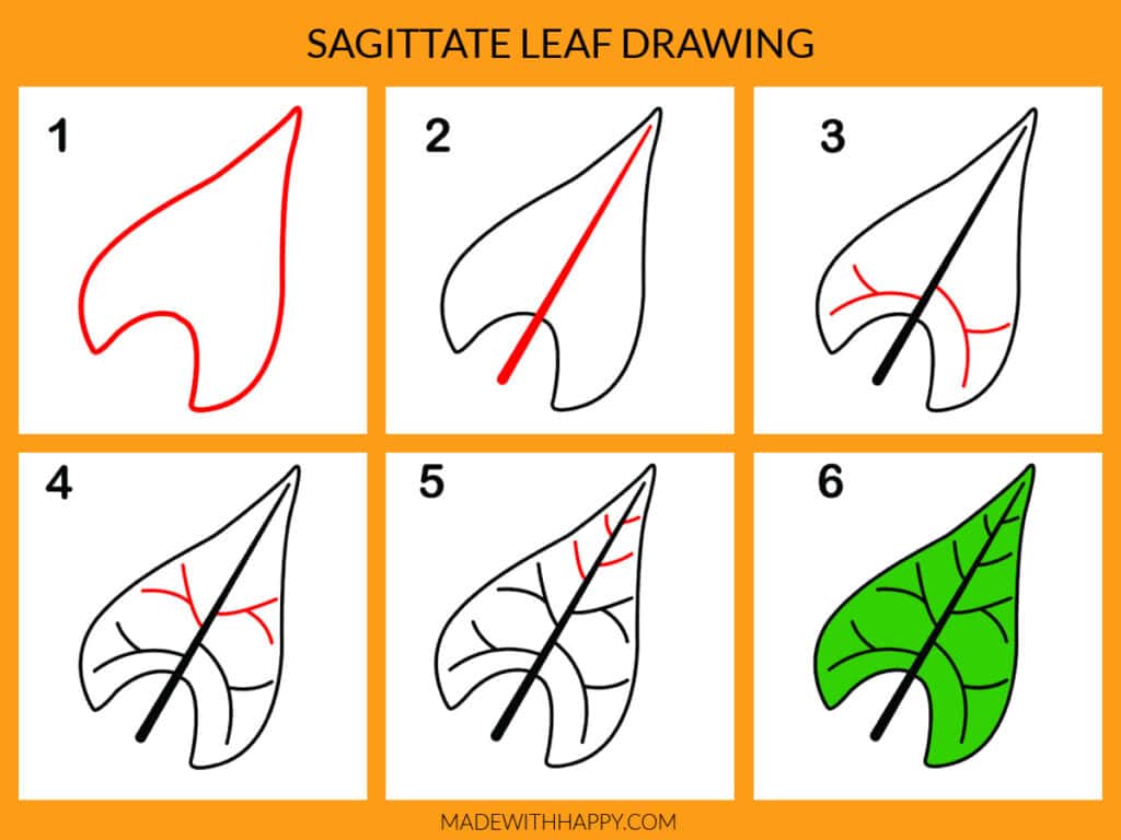 7 Easy How To Draw a Leaf Step By Step Tutorials - Made with HAPPY