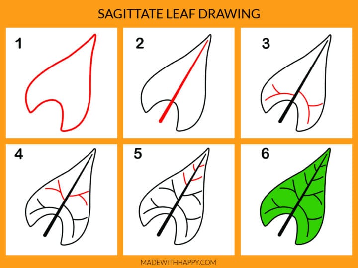 7 Easy How To Draw a Leaf Step By Step Tutorials - Made with HAPPY