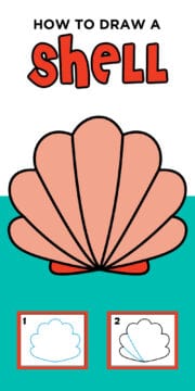 How To Draw a Shell - Easy Step-by-Step Tutorial - Made with HAPPY