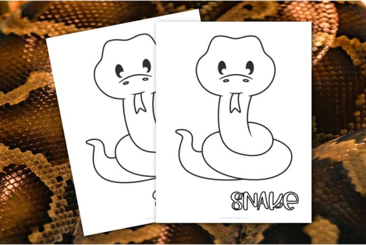 Printable Snake Coloring Page - Made with HAPPY