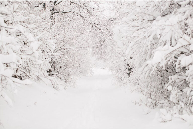 Facts About Winter - Made with HAPPY