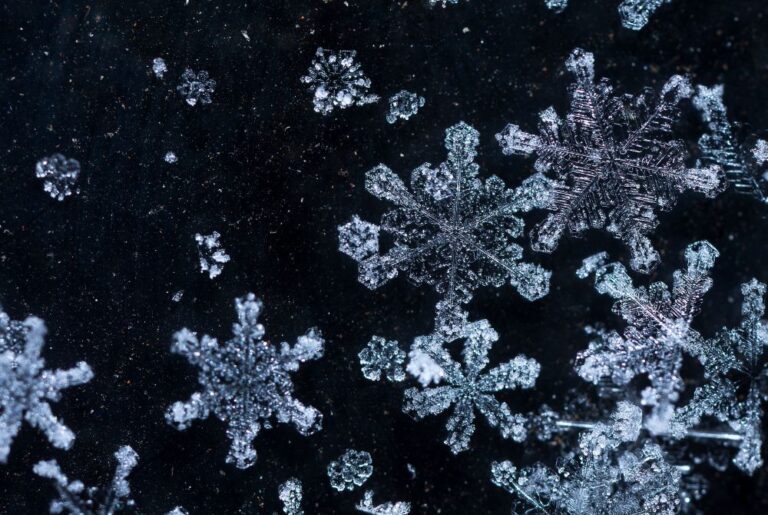 75+ Fun Facts About Winter - Made with HAPPY