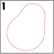 How To Draw an Avocado Easy Step By Step Tutorial - Made with HAPPY
