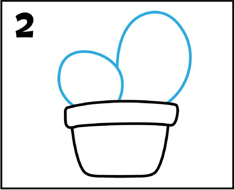 How To Draw a Cactus Step-By-Step Tutorial - Made with HAPPY