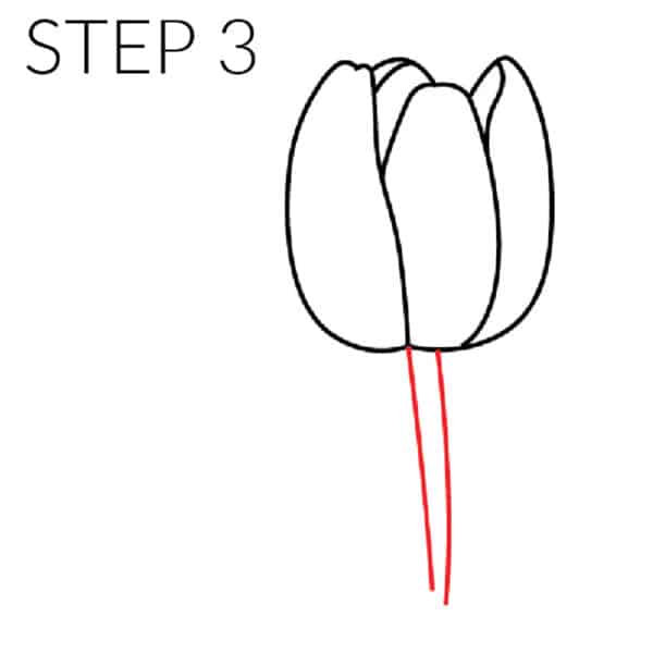How To Draw a Tulip Easy Step-By-Step Tutorial - Made with HAPPY