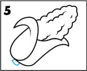 How To Draw Corn Easy Step By Step Tutorial - Made with HAPPY