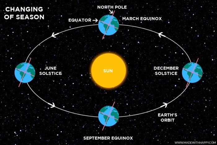 Facts About Summer - Made with HAPPY