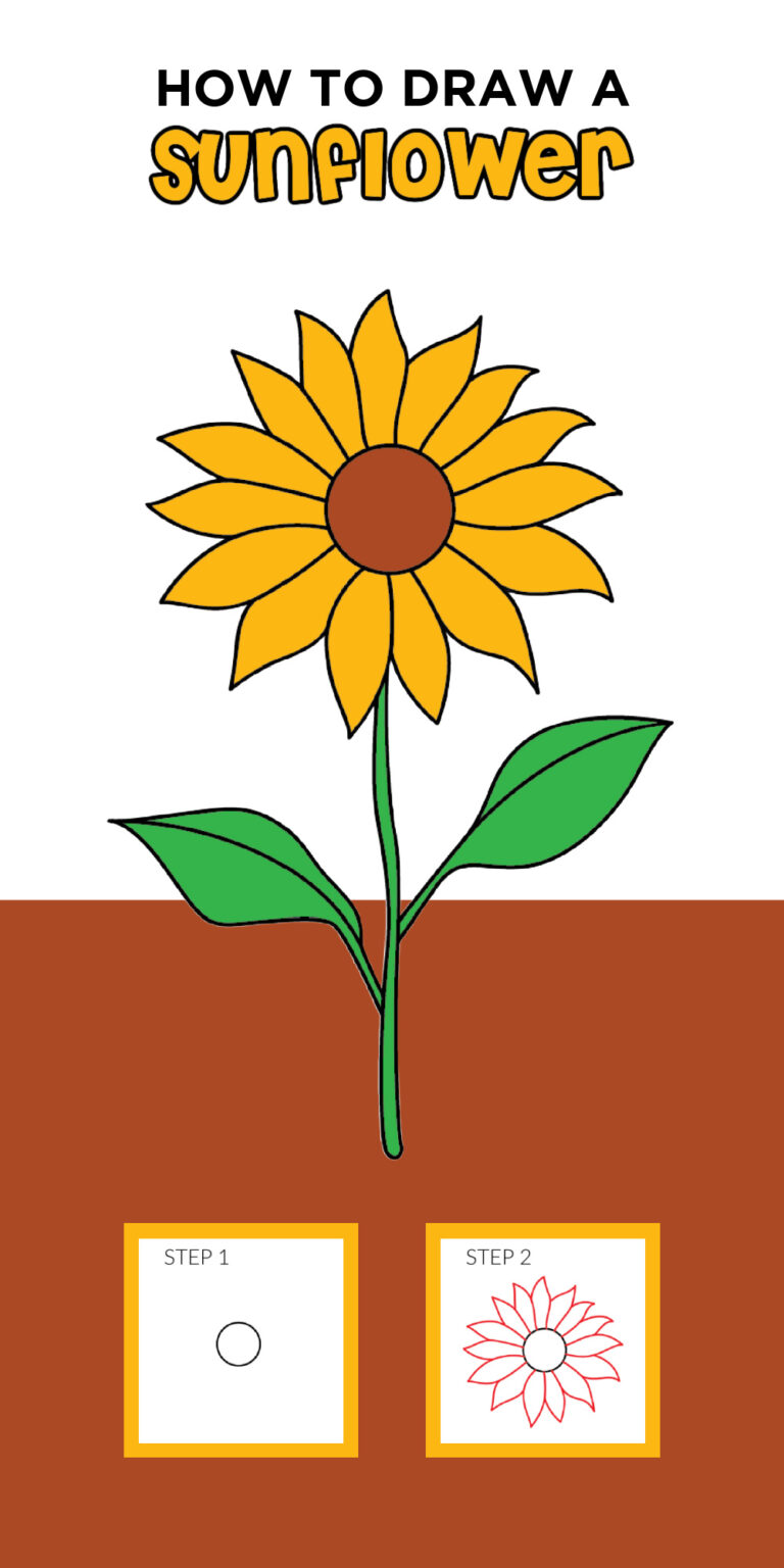 How To Draw a Sunflower Easy Step-By-Step Tutorial - Made with HAPPY
