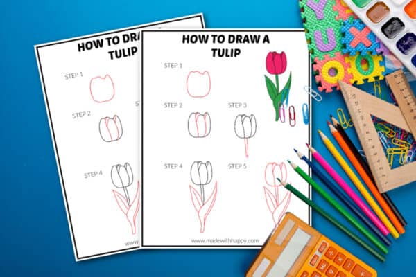 How To Draw a Tulip Easy Step-By-Step Tutorial - Made with HAPPY