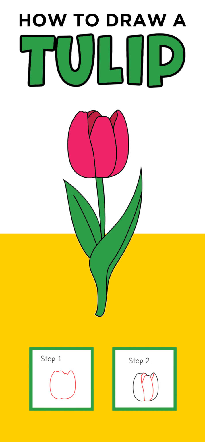 How To Draw a Tulip Easy Step-By-Step Tutorial - Made with HAPPY
