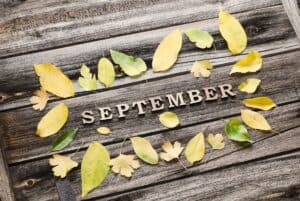 September Fun Facts - Made with HAPPY