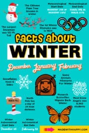 Facts About Winter - Made with HAPPY